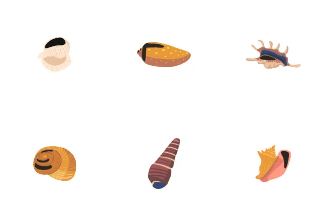 Download Shell Icon pack Available in SVG, PNG & Icon Fonts