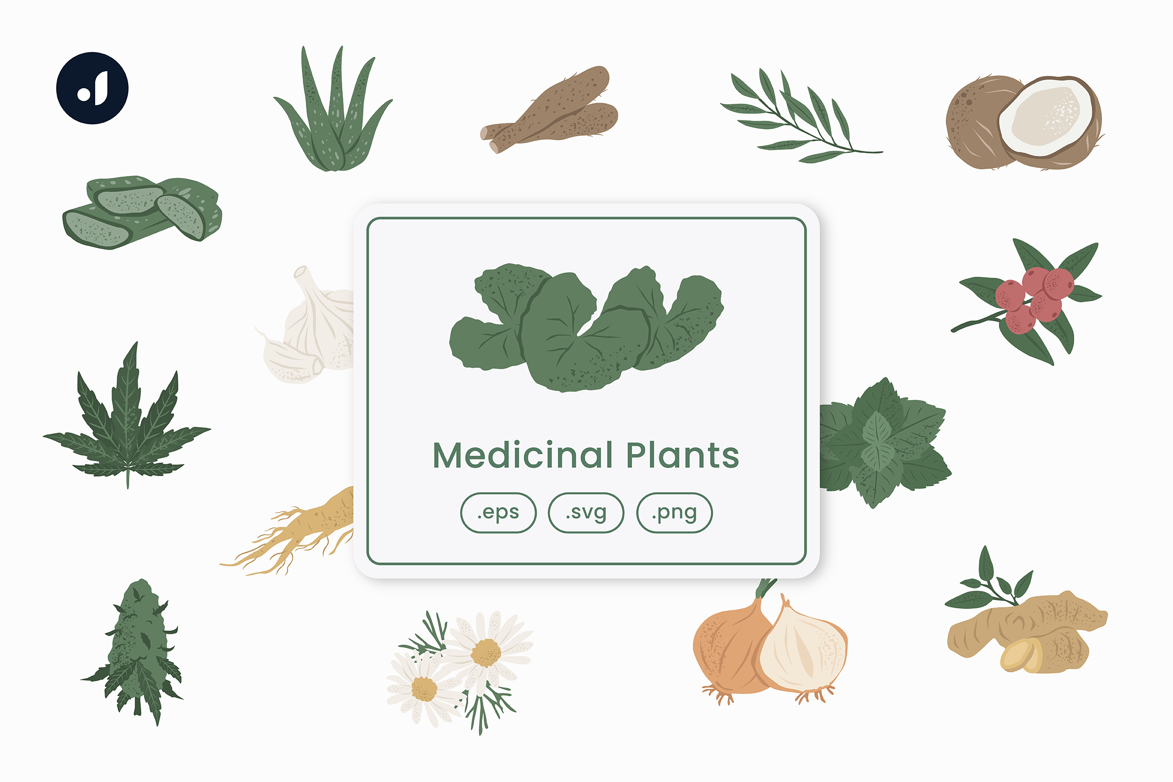 Medicinal Plants Icon Pack - 15 Flat Healthcare & Medical Icons | SVG ...