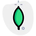 Free Mongodb Logo Icon - Download in Colored Outline Style