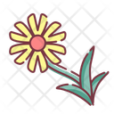 Download Spring Flowers Icon pack Available in SVG, PNG & Icon fonts