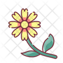 Download Spring Flowers Icon pack Available in SVG, PNG & Icon fonts