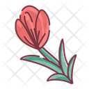 Download Spring Flowers Icon pack Available in SVG, PNG & Icon fonts