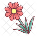 Download Spring Flowers Icon pack Available in SVG, PNG & Icon fonts
