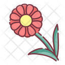 Download Spring Flowers Icon pack Available in SVG, PNG & Icon fonts