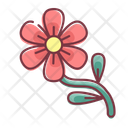 Download Spring Flowers Icon pack Available in SVG, PNG & Icon fonts