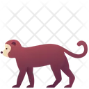 Monkey Icon - Free Download Animal Icons | IconScout