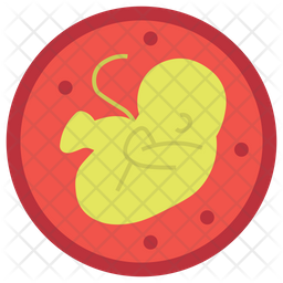 107 Fetus Embryo Baby Icons - Free in SVG, PNG, ICO - IconScout