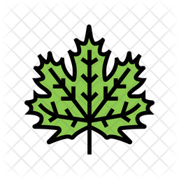 Maple Icon - Download in Colored Outline Style