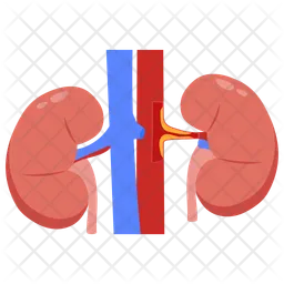 Renal Artery Stenosis Icon - Free Download Healthcare & Medical Icons | IconScout