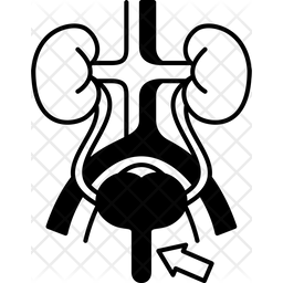 Urethra Icon - Download in Glyph Style