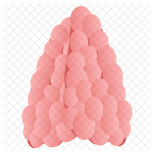 Thymus Gland Icon Download In Flat Style