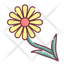 Download Spring Flowers Icon pack Available in SVG, PNG & Icon fonts