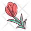 Download Spring Flowers Icon pack Available in SVG, PNG & Icon fonts