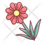 Download Spring Flowers Icon pack Available in SVG, PNG & Icon fonts